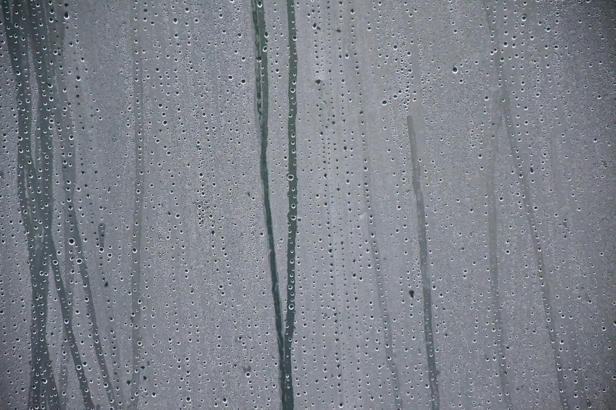 Condensation, Damp or Mould? Winter House Problems Explained